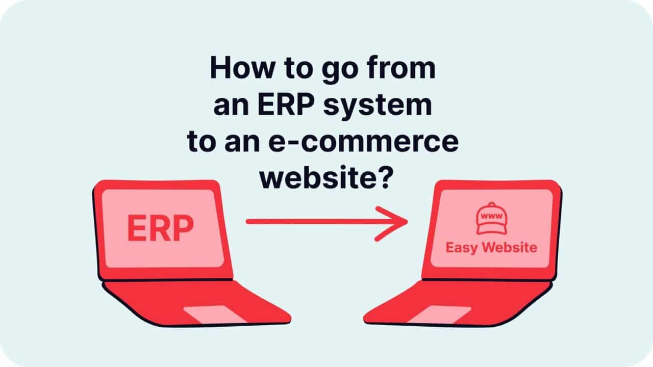 Best ERP e-commerce solution: run a website from ERP - Nembol